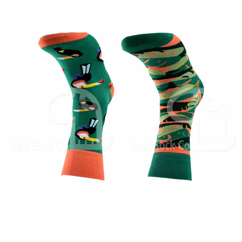 Toucan Socks – ODDSOCKCO